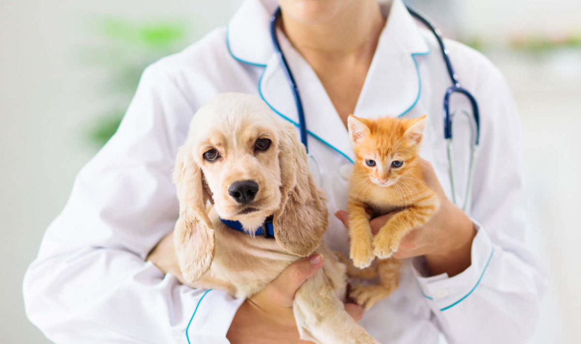 Welcome to - Probitas Insurance Brokers Pvt. Ltd.